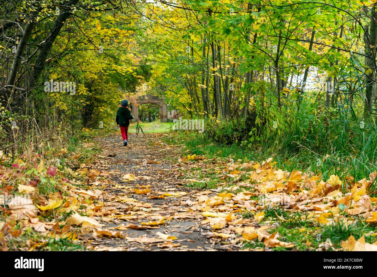 Seasonal activities hi-res stock photography and images - Alamy