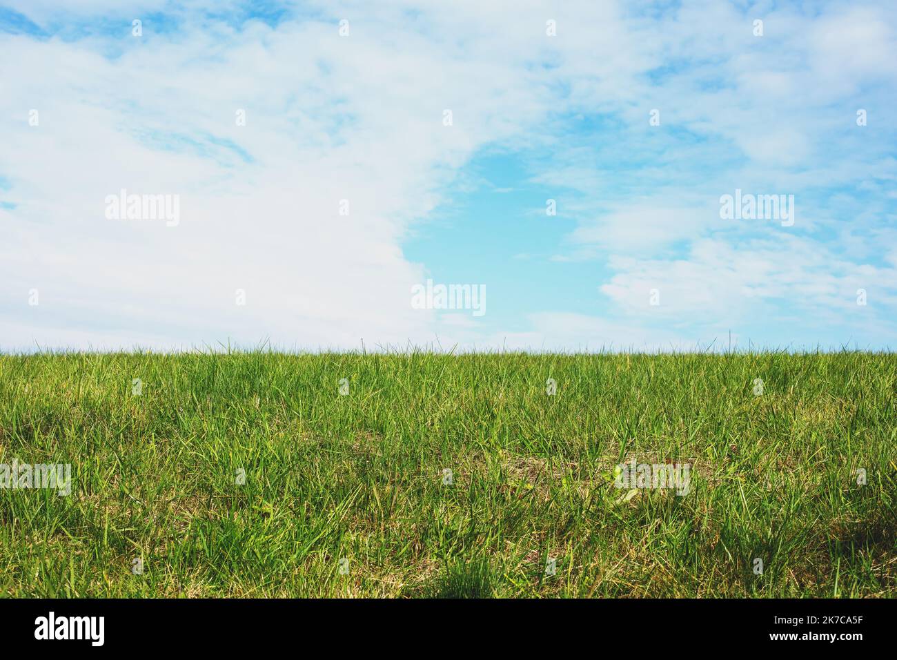 Green field shot against blue sky with clouds. High quality photo Stock ...