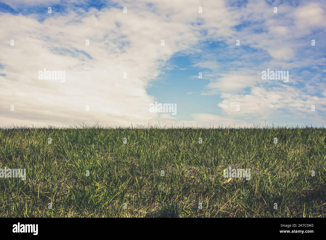 Green field shot against blue sky with clouds. High quality photo Stock ...