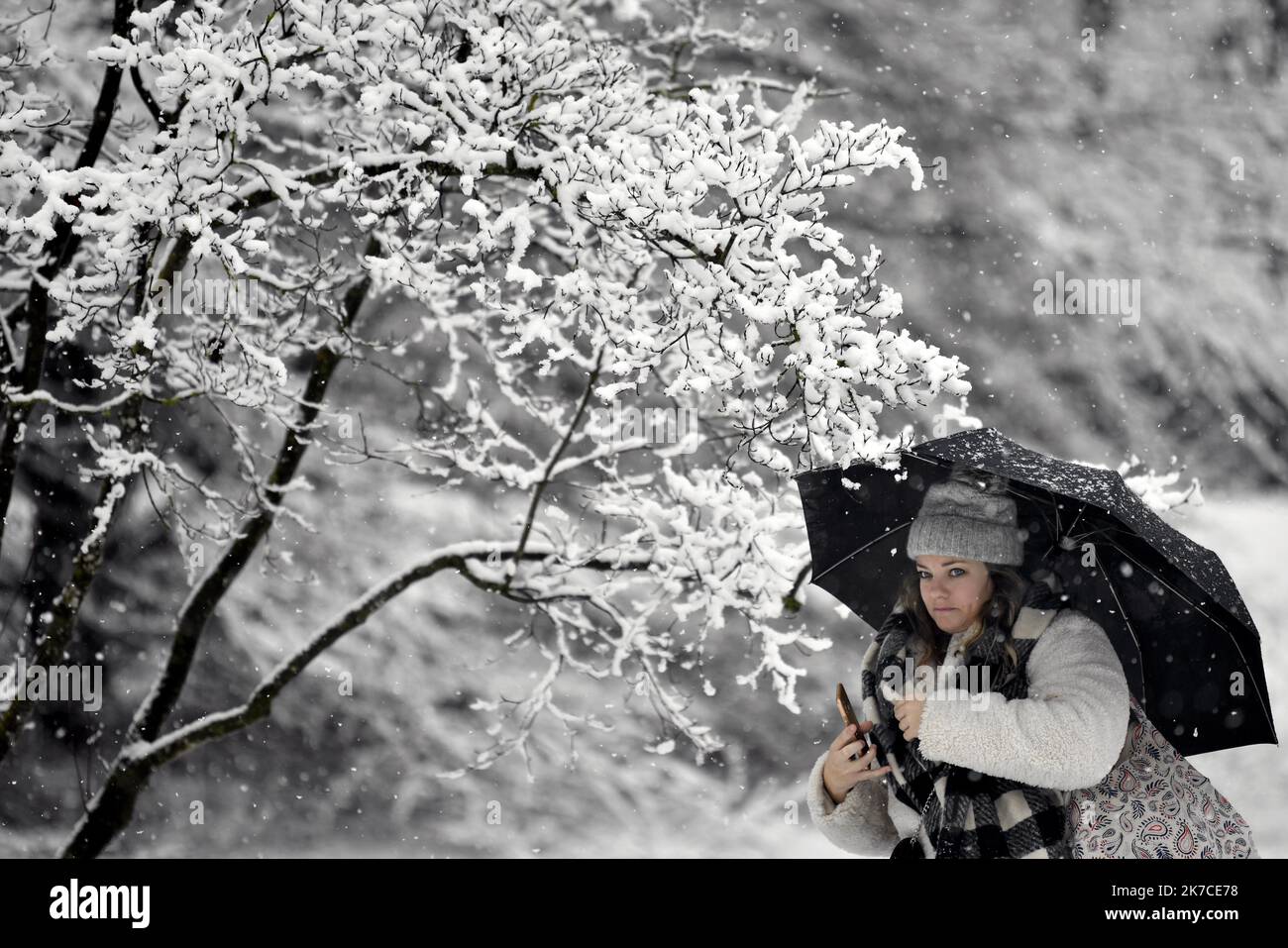 Arbre recouvert de neige hi-res stock photography and images - Alamy