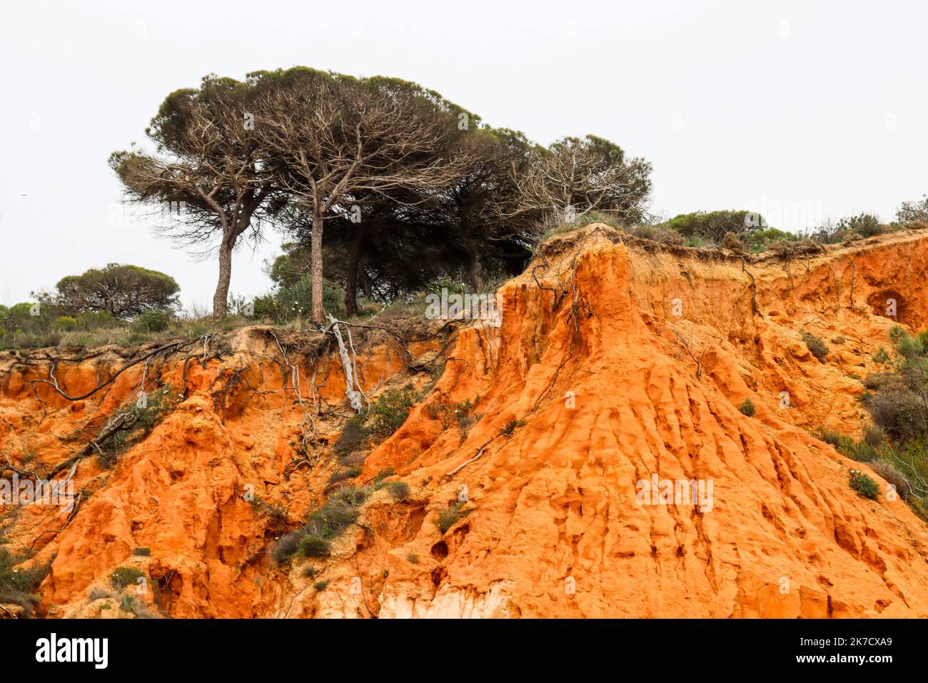 Tim Somerset/Maxppp - Vilamoura, Portugal le 01/03/2021 -/ Plage de ...