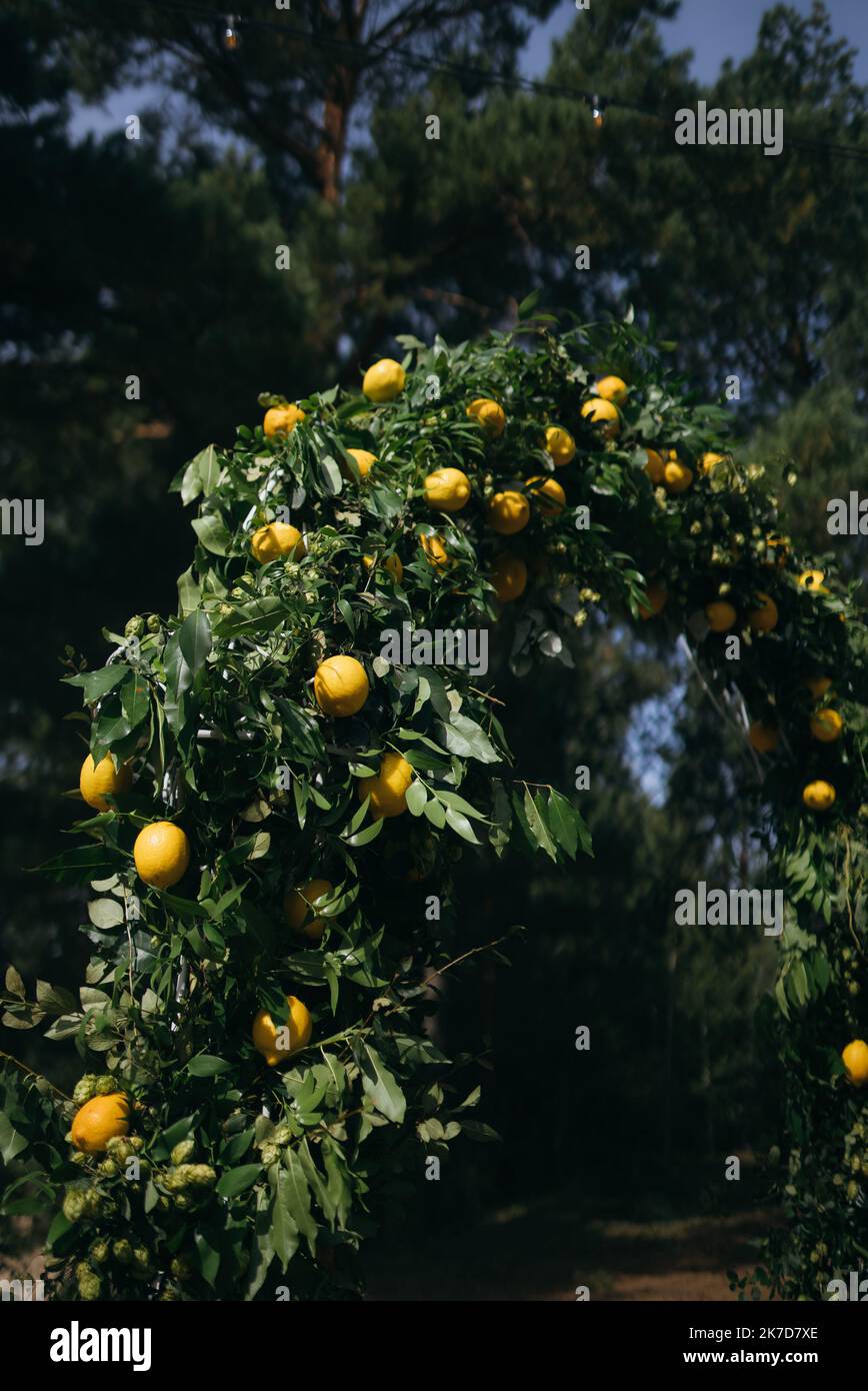 Wedding arch is decorated with green leaves and lemons Stock Photo - Alamy