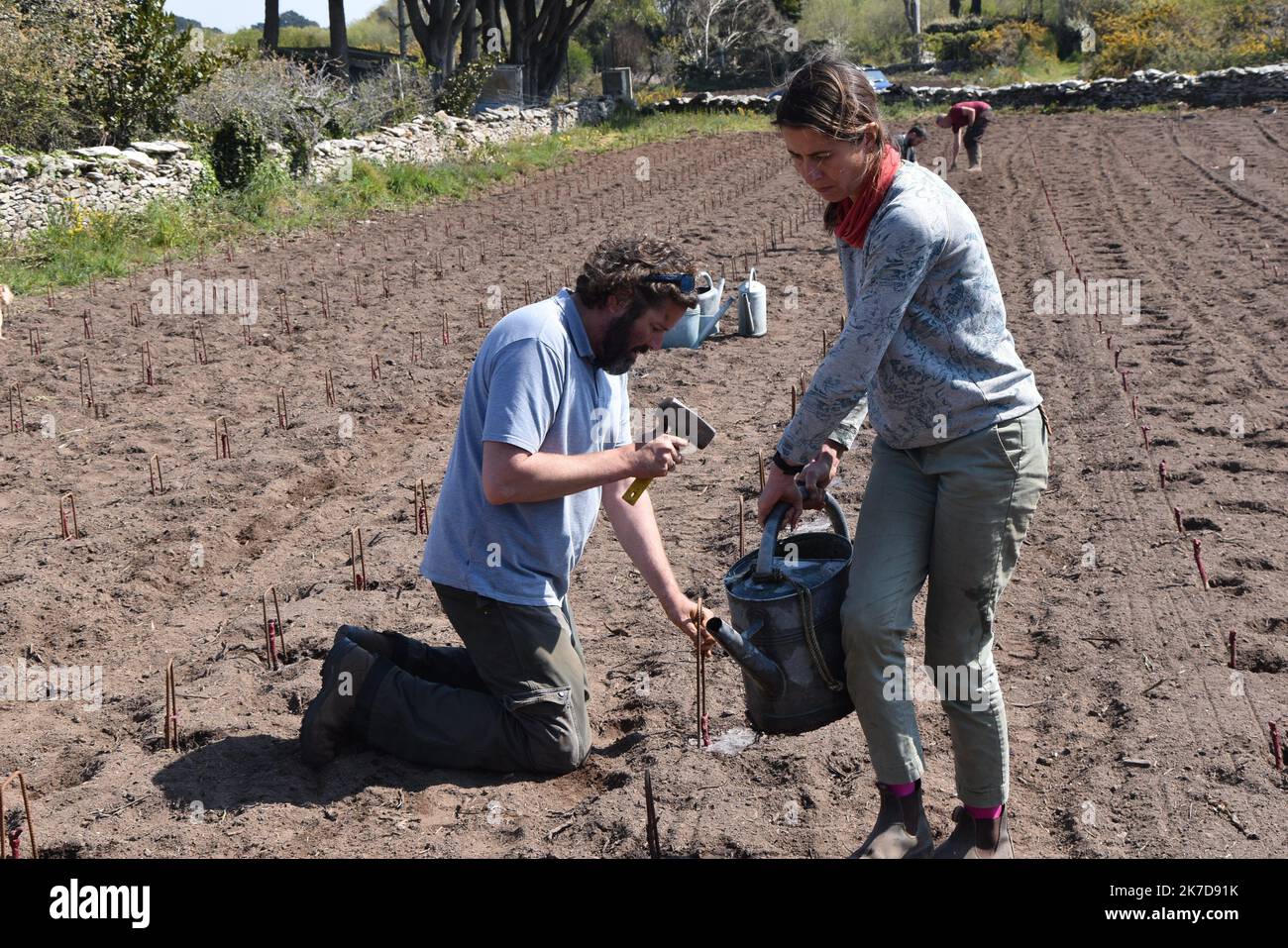 Plante du pied hi-res stock photography and images - Alamy