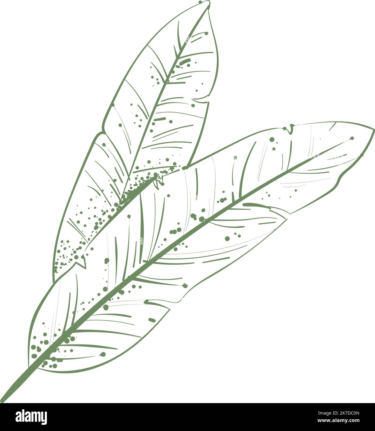 nature leaves design Stock Vector Image & Art - Alamy