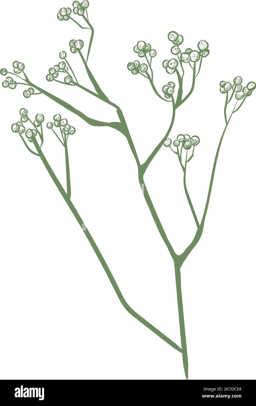 nature tree design Stock Vector Image & Art - Alamy