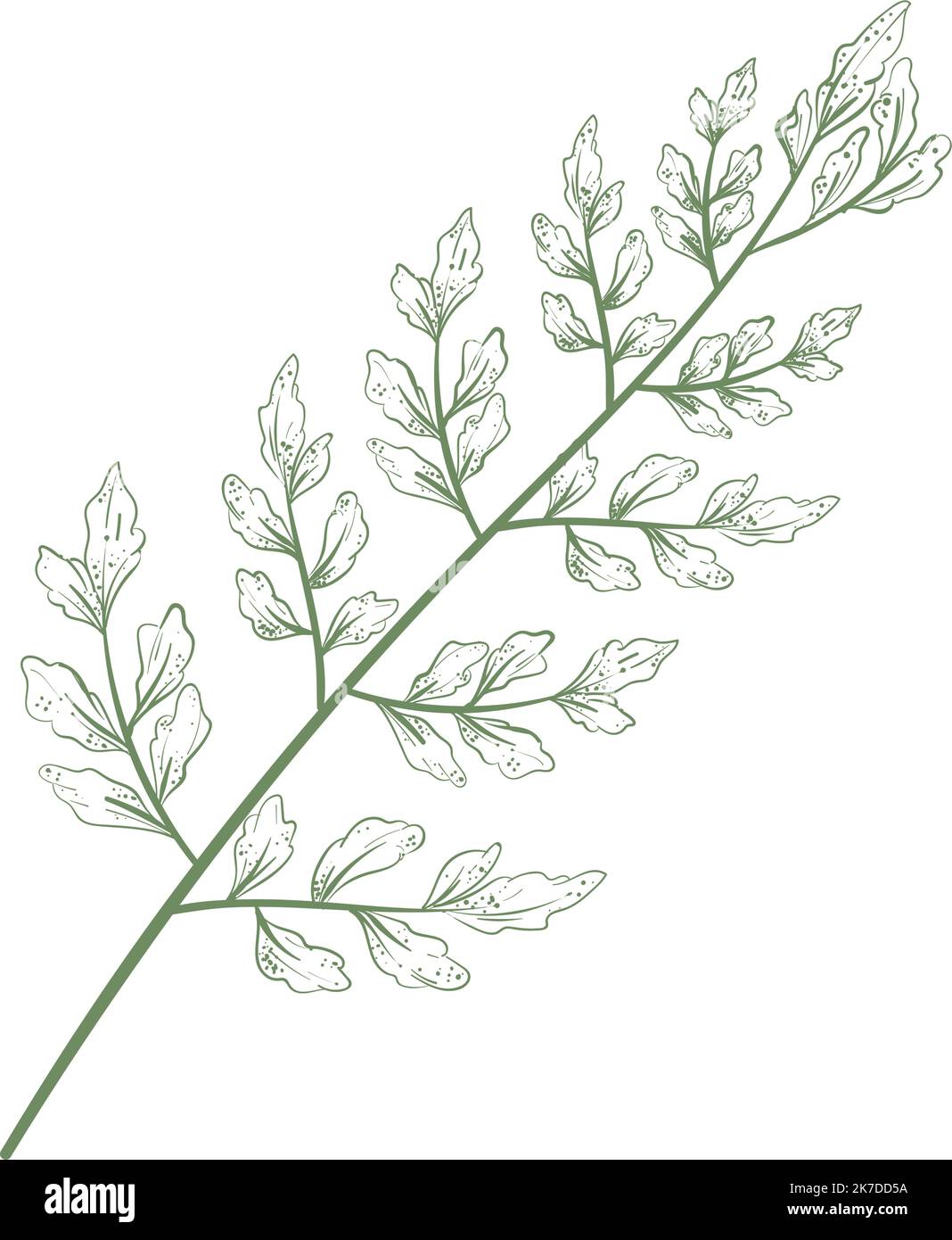 nature plant design Stock Vector Image & Art - Alamy