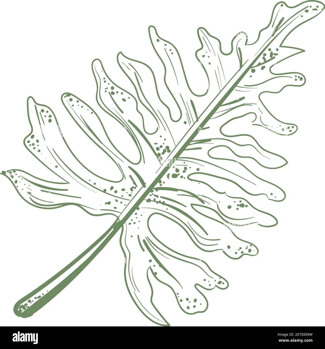 natural leaf design Stock Vector Image & Art - Alamy