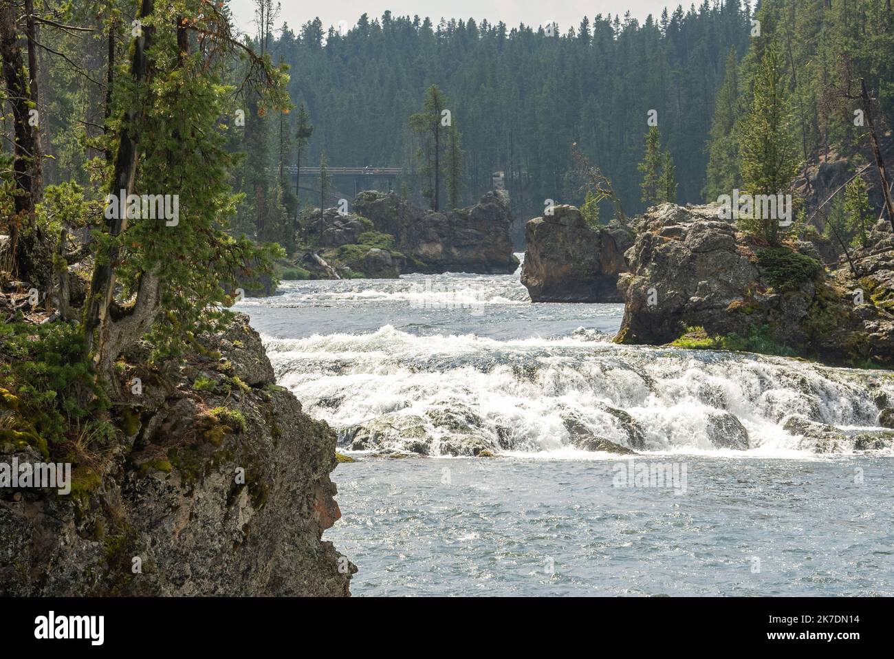 River floating through the Yellowstone National Park Stock Photo - Alamy