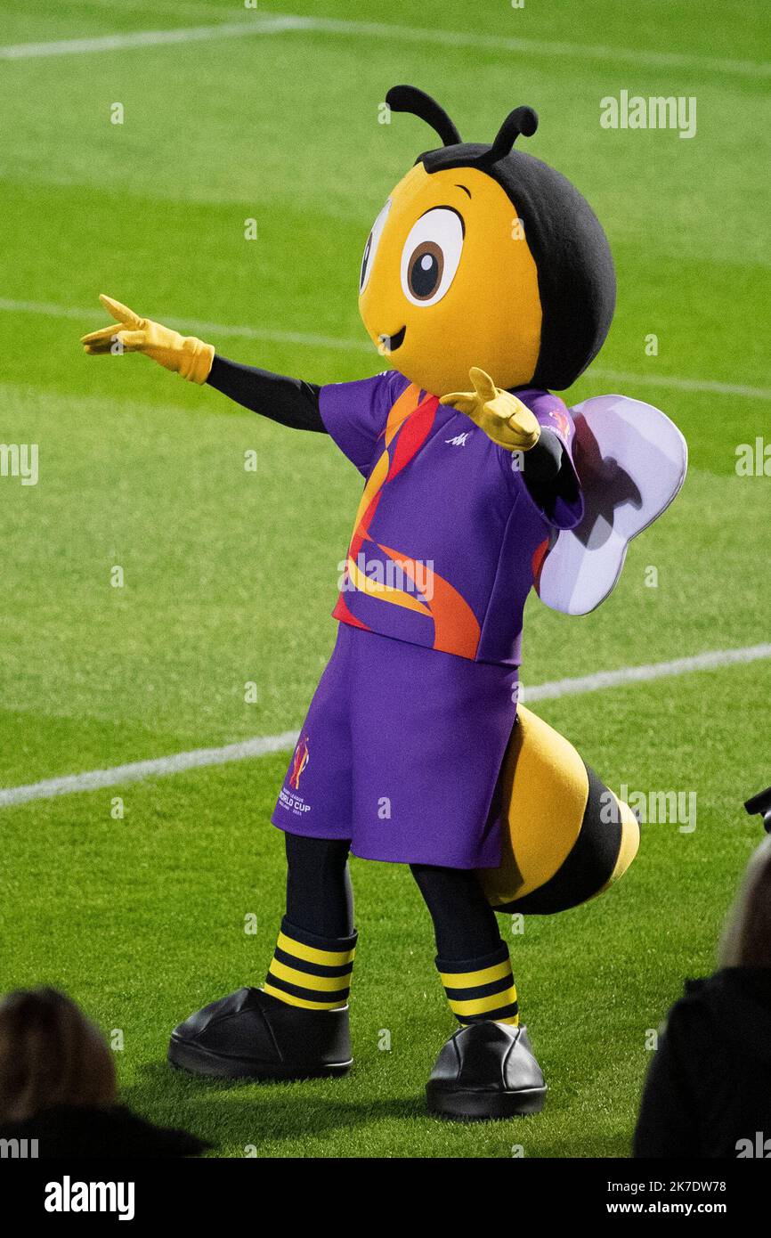 The 2022 rugby league world cup hi-res stock photography and images - Alamy