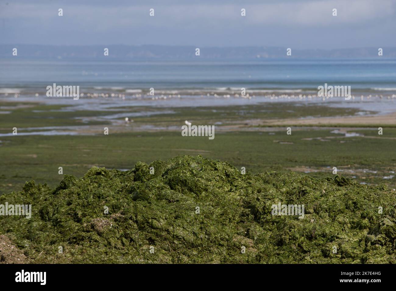 ©PHOTOPQR/OUEST FRANCE/QUEMENER YVES-MARIE ; Douarnenez ; 21/06/2021 ...