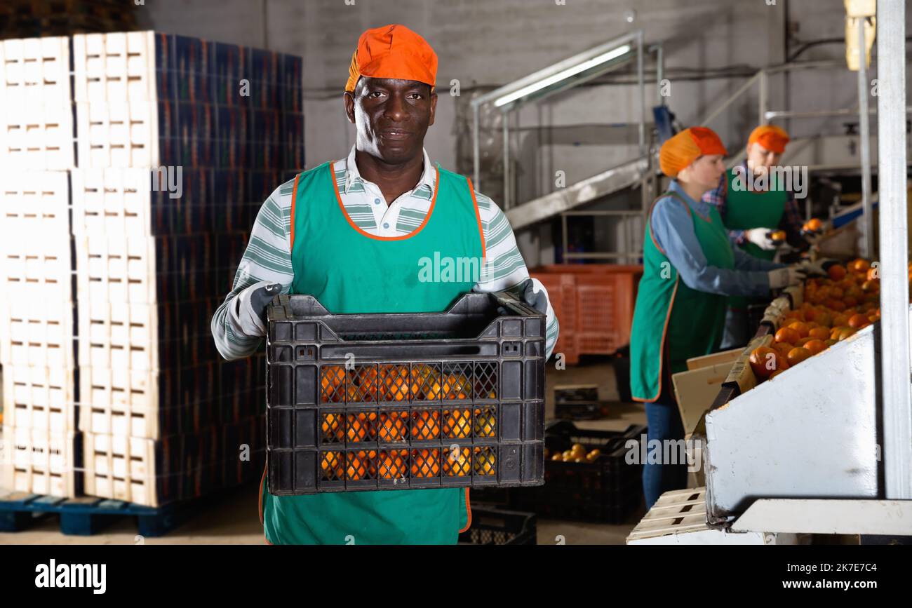Male employee in colored uniform carrying plastic box with fresh Stock ...
