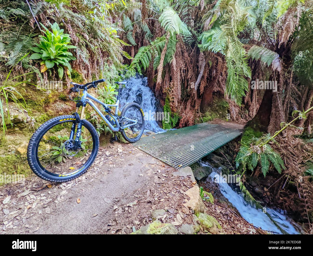 Derby mtb trail tasmania hi-res stock photography and images - Alamy