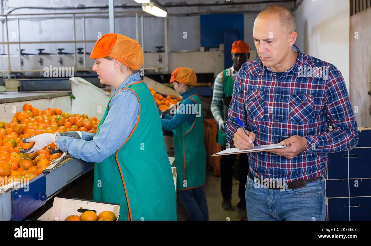 farmer controlling grading and packing of mandarin oranges performing ...