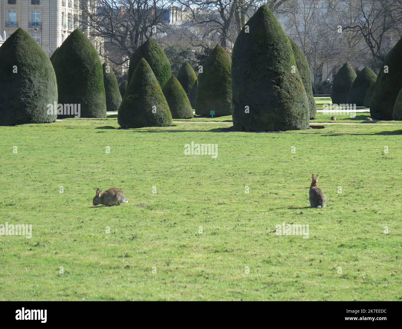 Harmful species hi-res stock photography and images - Alamy
