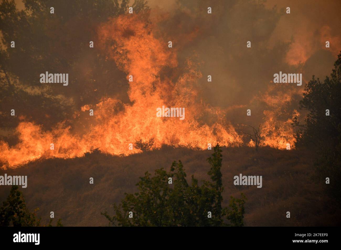 ©PHOTOPQR/L'INDEPENDANT/BOYER Claude ; 24/07/2021 / INCENDIE / FEU DE ...