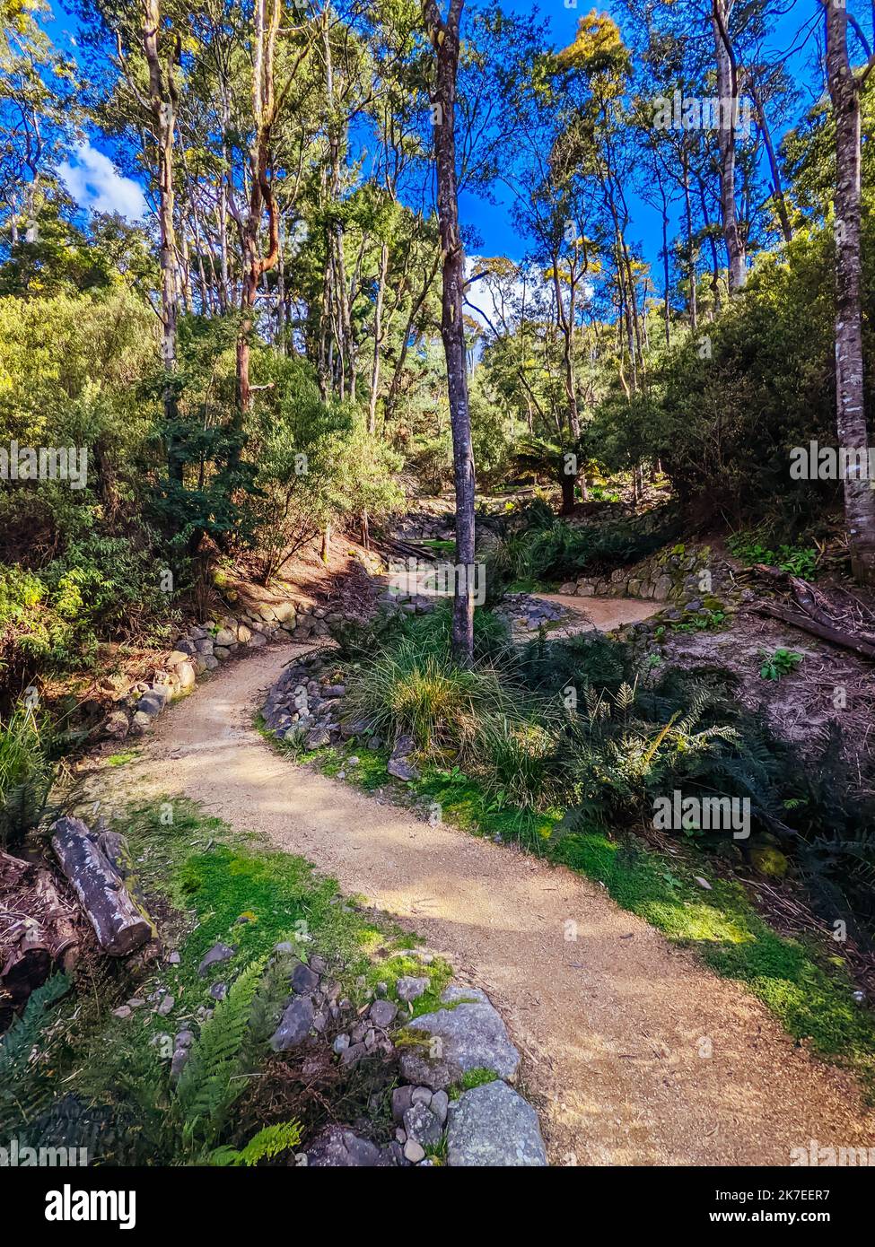 Derby mtb trail tasmania hi-res stock photography and images - Alamy