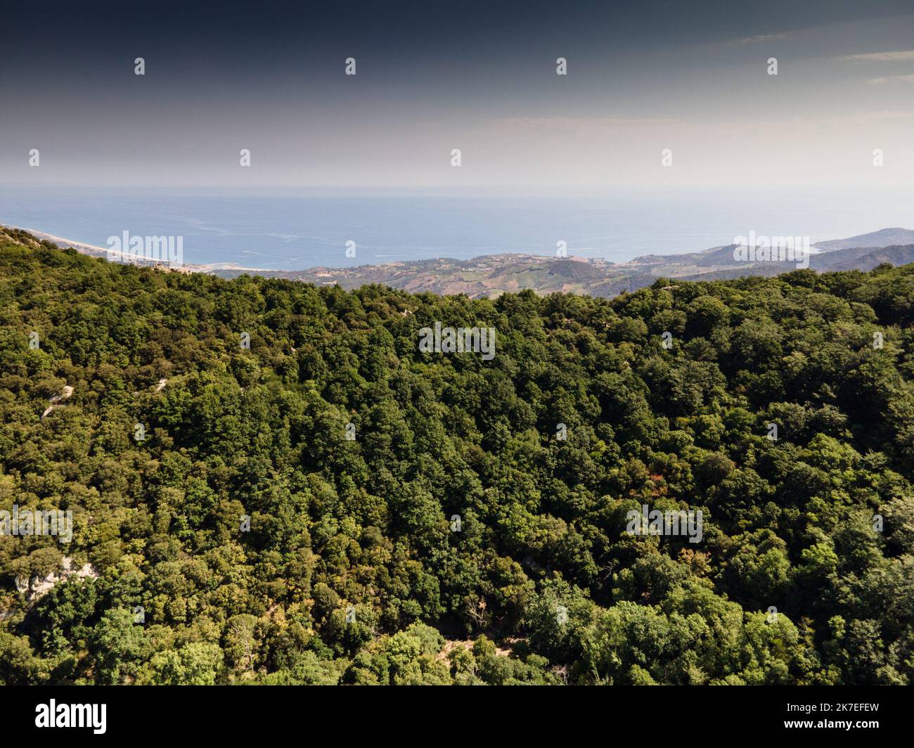 ©PHOTOPQR/L'INDEPENDANT/Nicolas Parent ; ; 29/07/2021 ; La hêtraie de ...