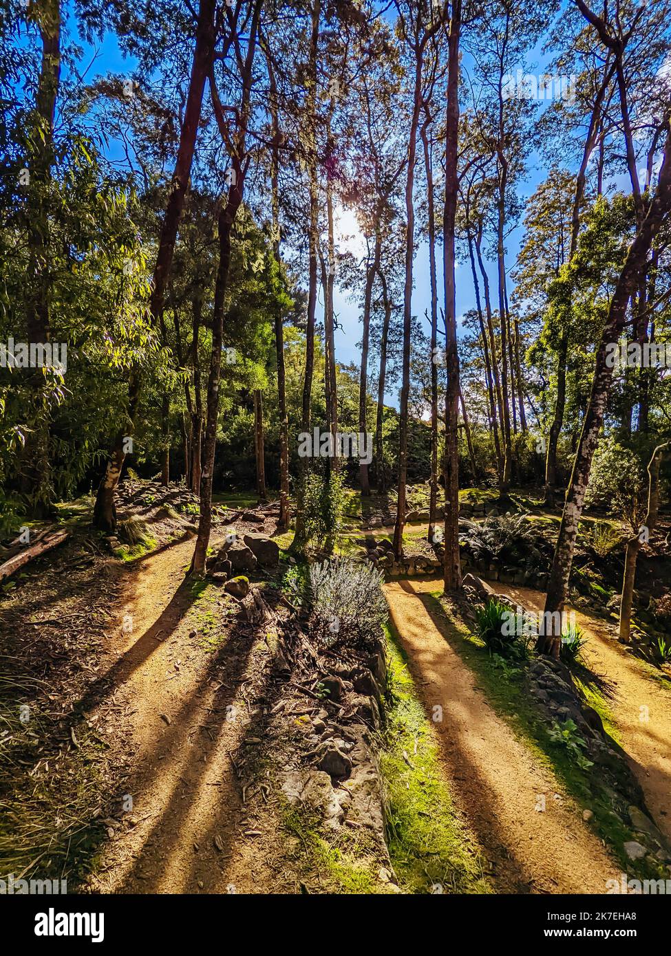 Derby mtb trail tasmania hi-res stock photography and images - Alamy