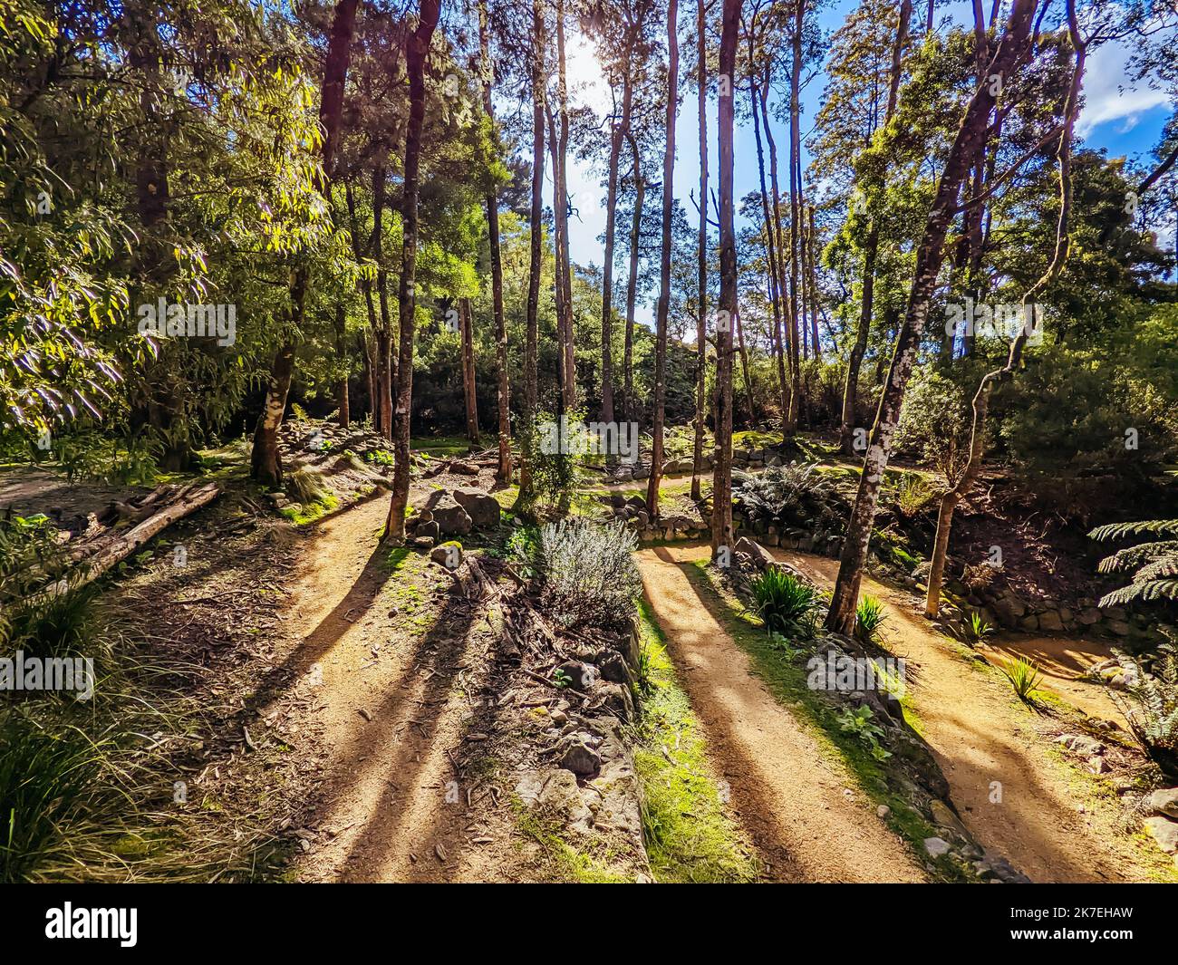Derby mtb trail tasmania hi-res stock photography and images - Alamy