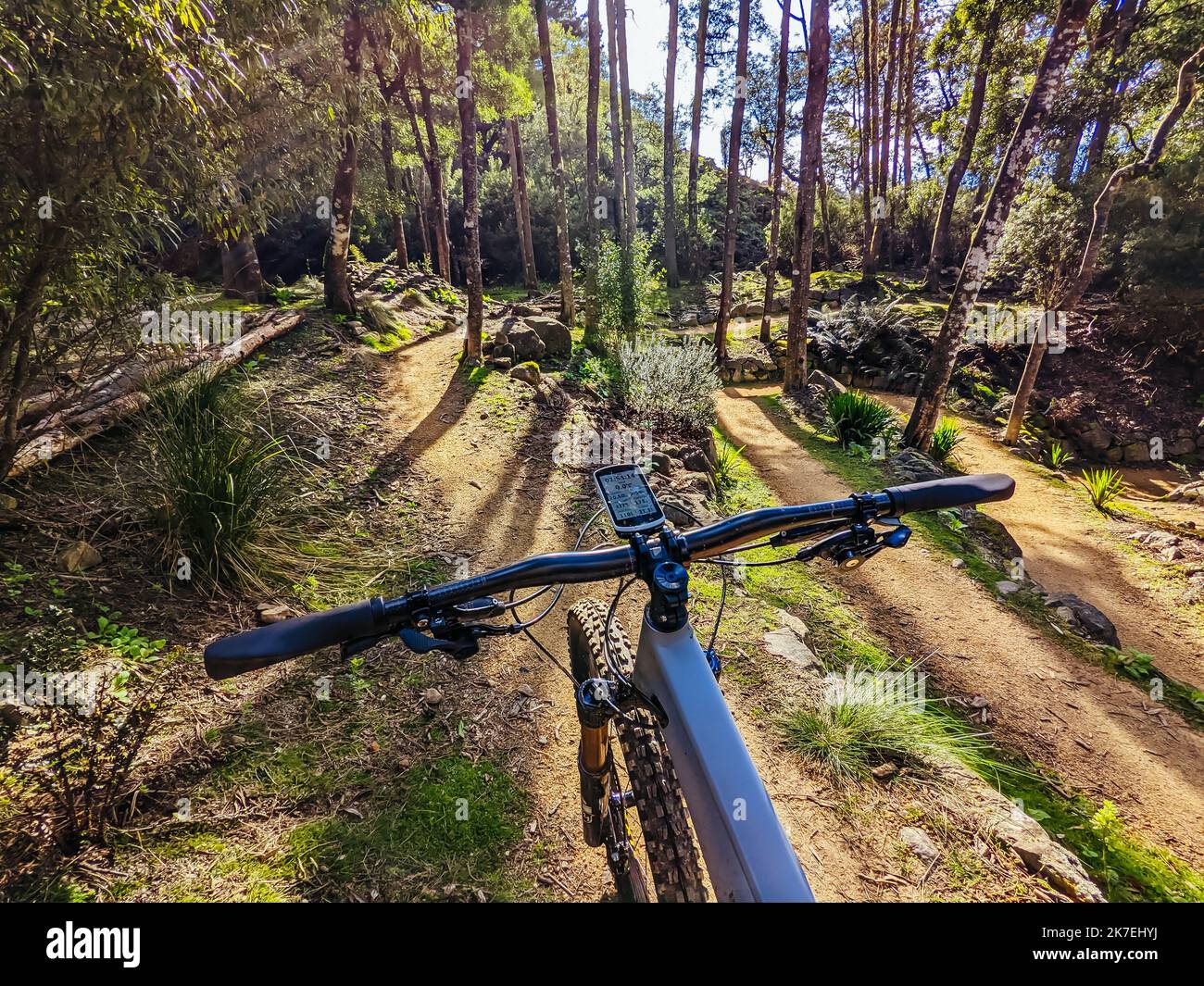 Blue Derby Bike Network Tasmania Australia Stock Photo - Alamy