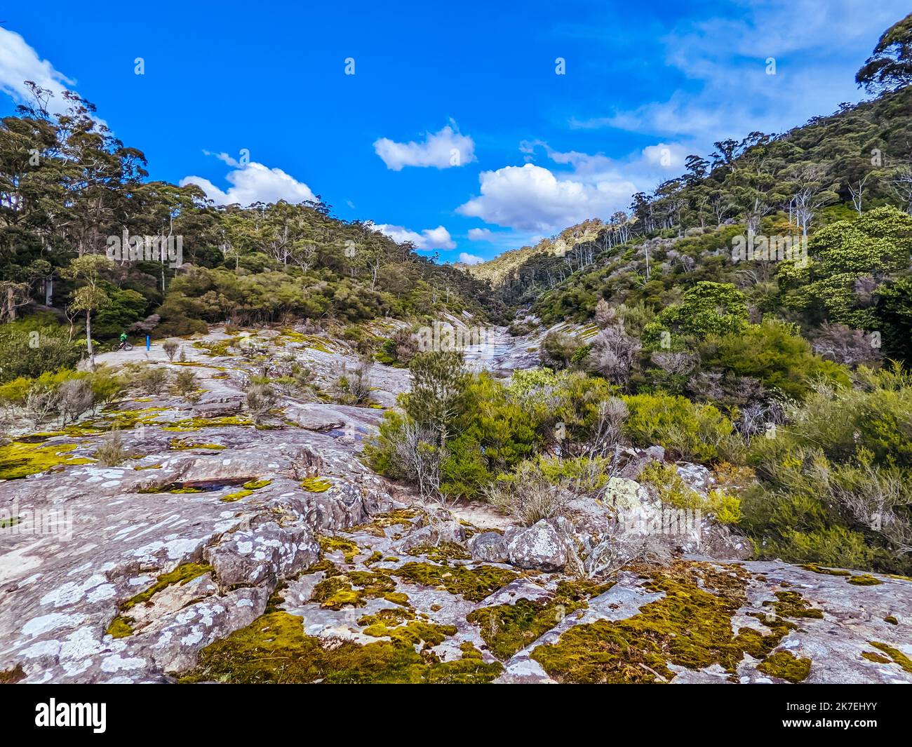 Derby mtb trail tasmania hi-res stock photography and images - Alamy