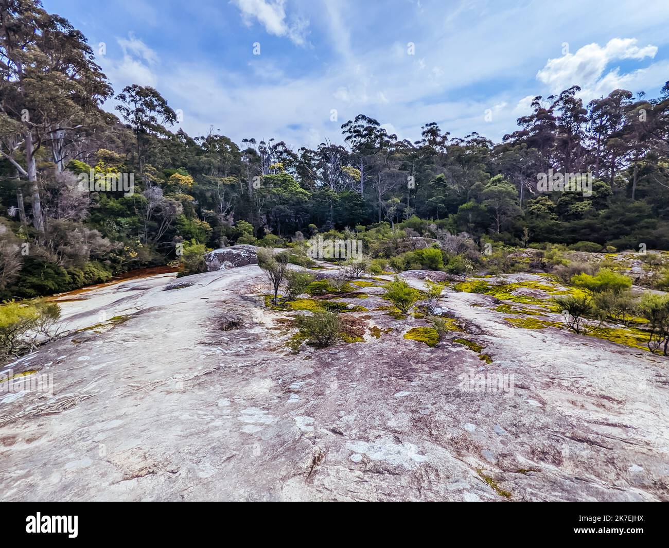 Blue Derby Bike Network Tasmania Australia Stock Photo - Alamy