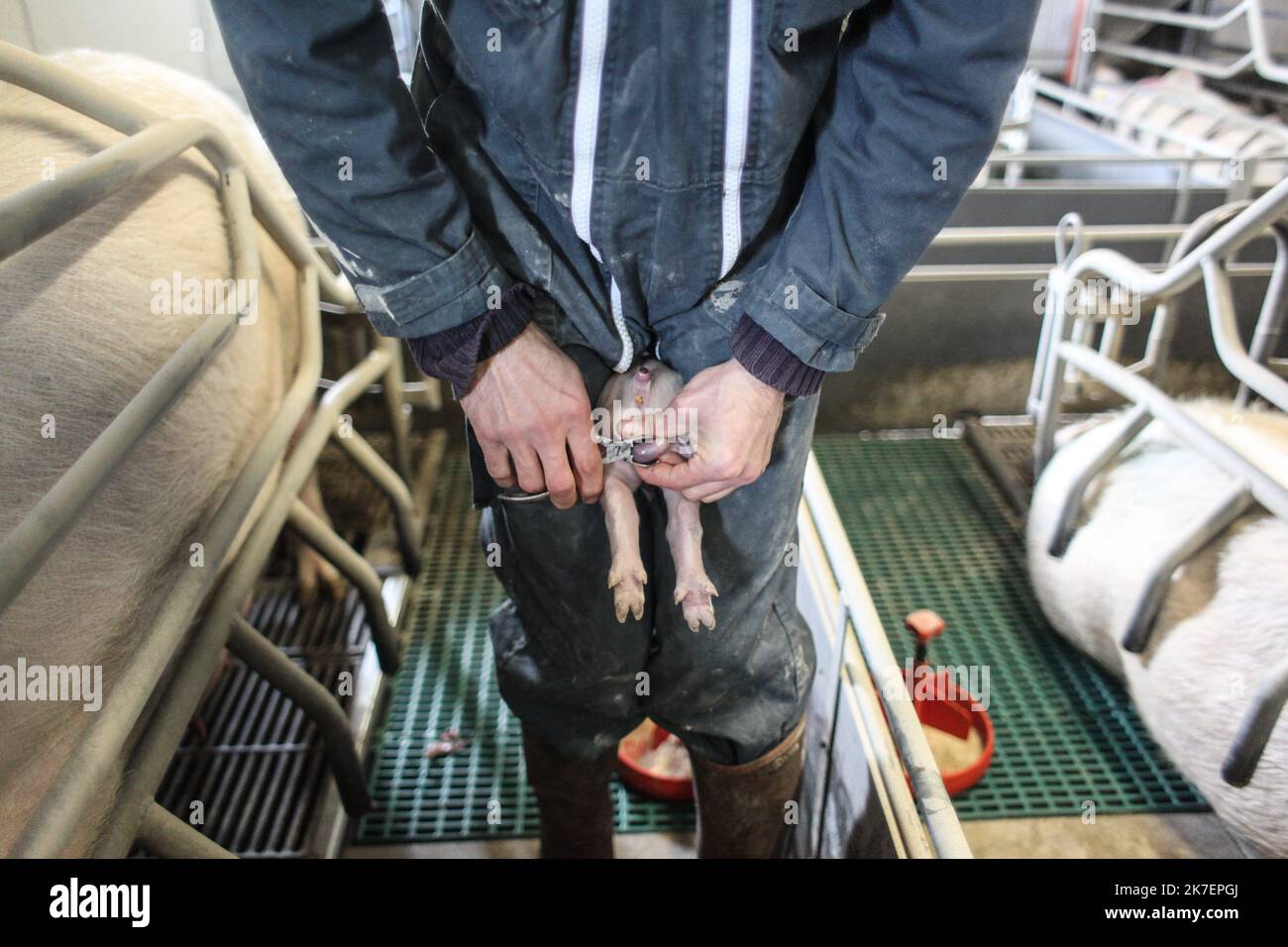 Â©PHOTOPQR/LE TELEGRAMME/Lionel Le Saux ; COATREVEN ; 23/03/2009 ...