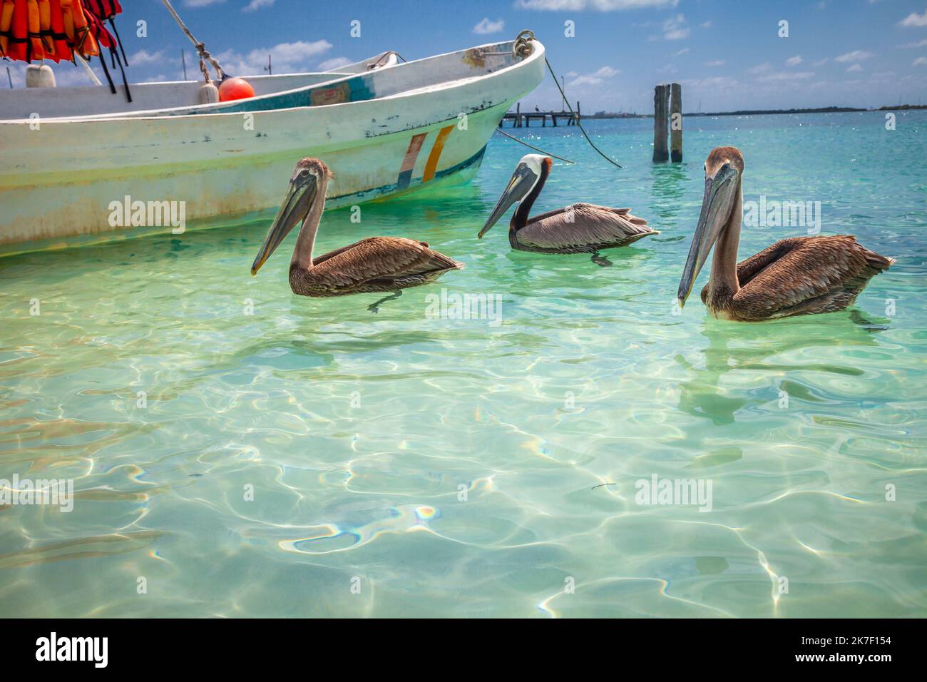 Cancun idyllic caribbean beach with boat and pelican, Riviera Maya ...