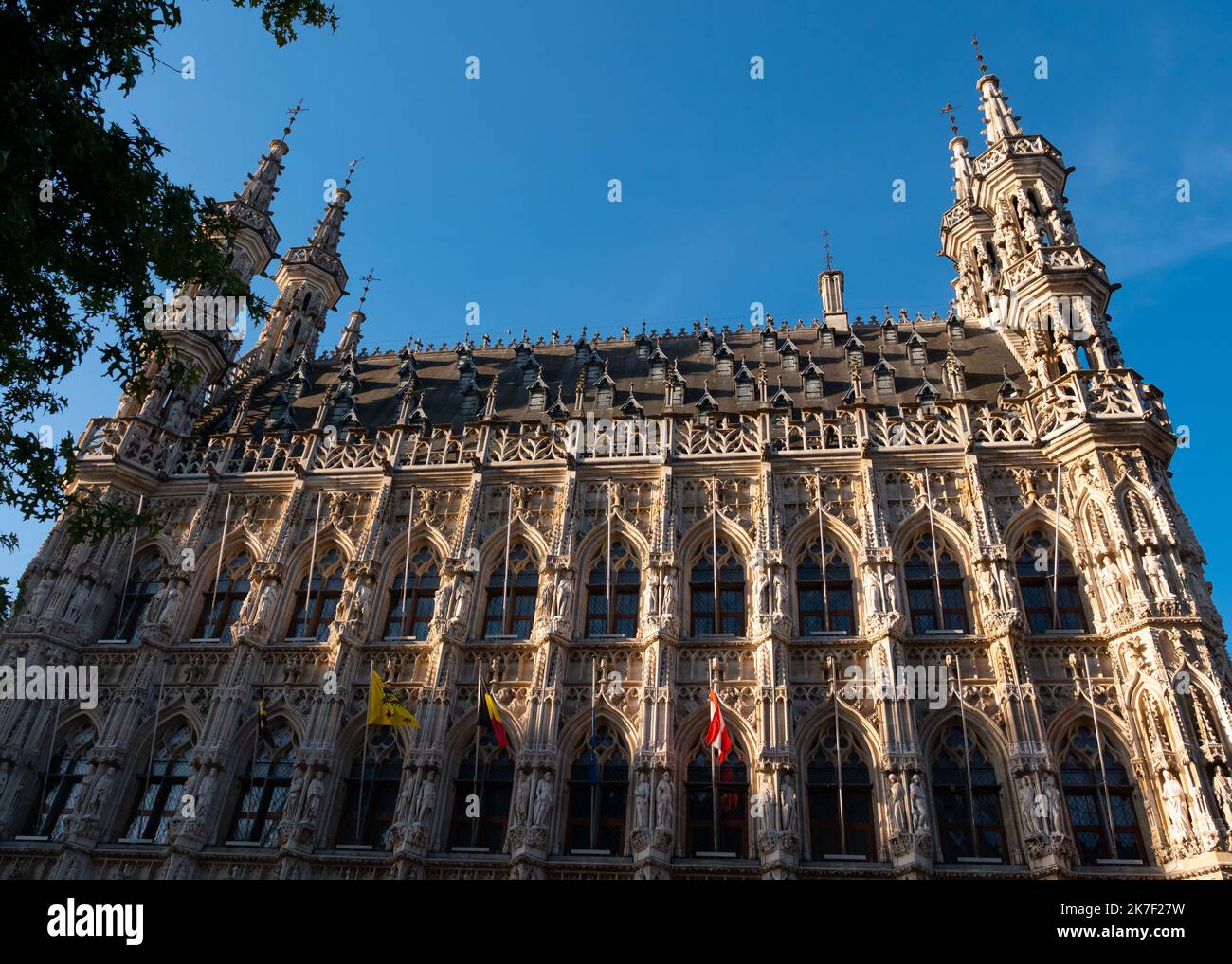 Gothic building of Leuven Town Hall with ornate architecture, Belgium ...