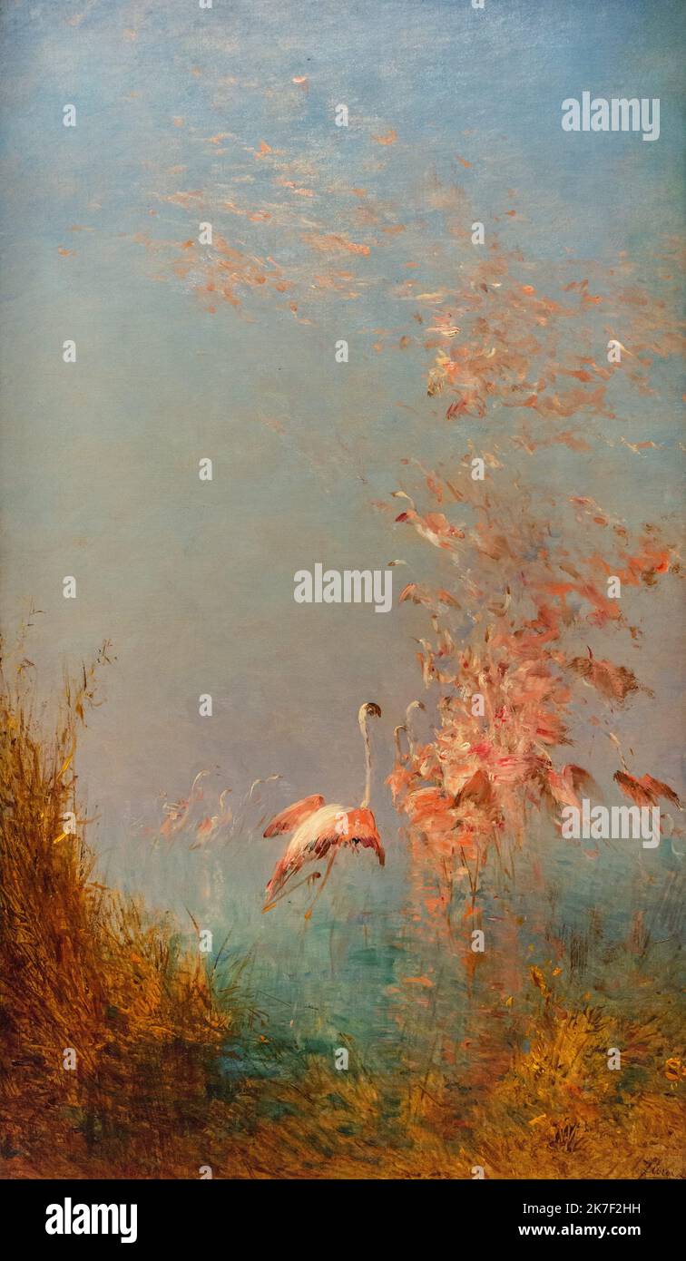 ©Active Museu/MAXPPP - ActiveMuseum 0000042.jpg / Envol de flamants roses, etang de Vaccares ...