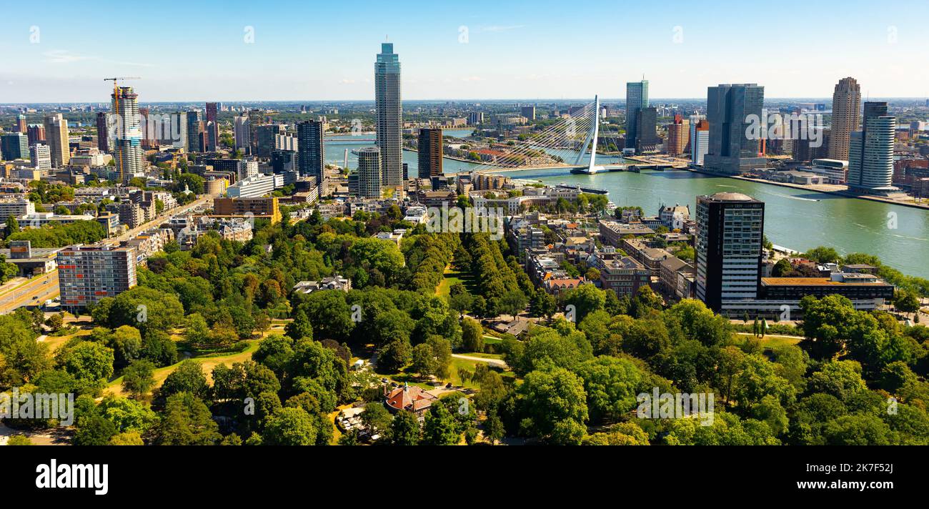 Rotterdam, Netherlands. City skyline on beautiful sunny day Stock Photo ...
