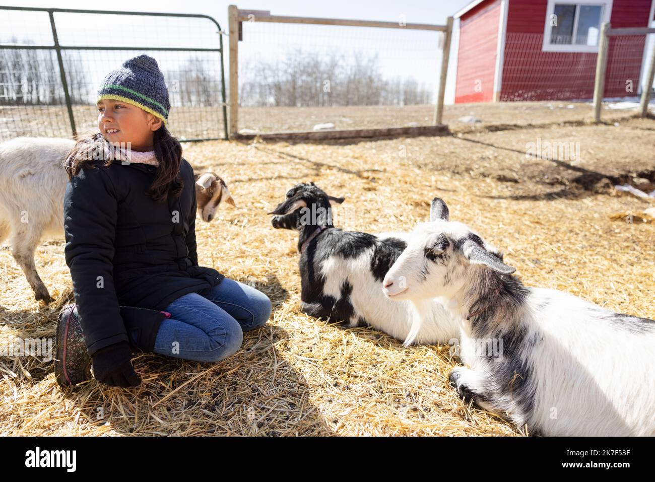 Girl and goats hi-res stock photography and images - Alamy