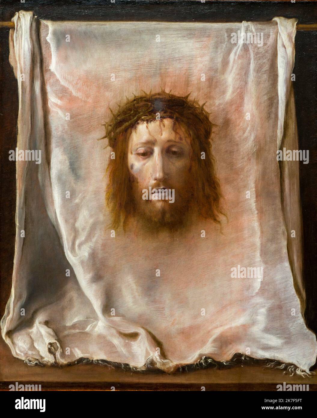 Voile de veronica hi-res stock photography and images - Alamy