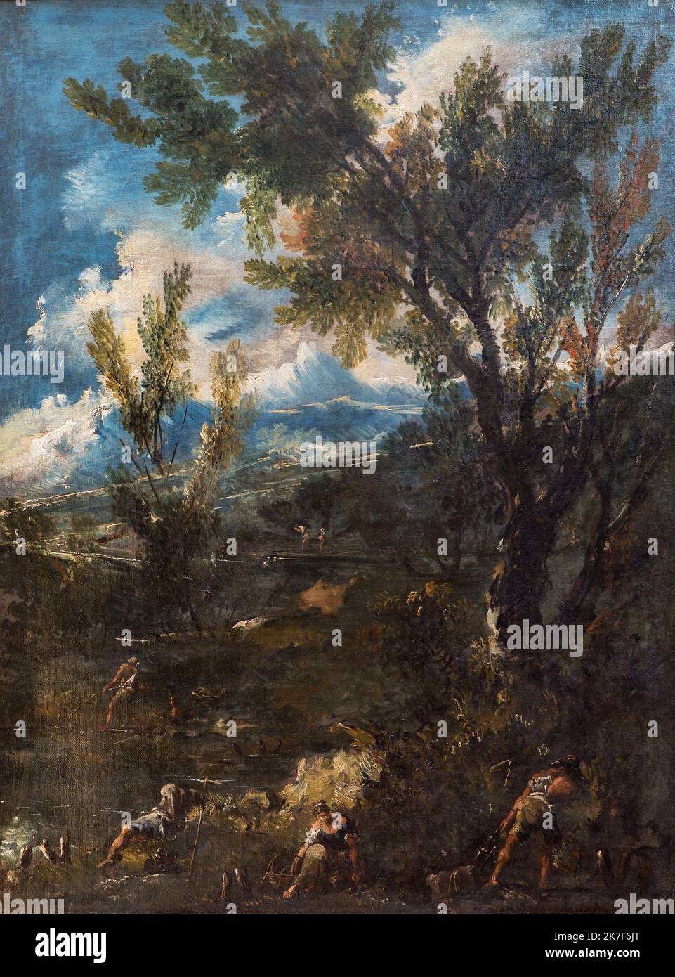 The acacia tree figures hi-res stock photography and images - Alamy