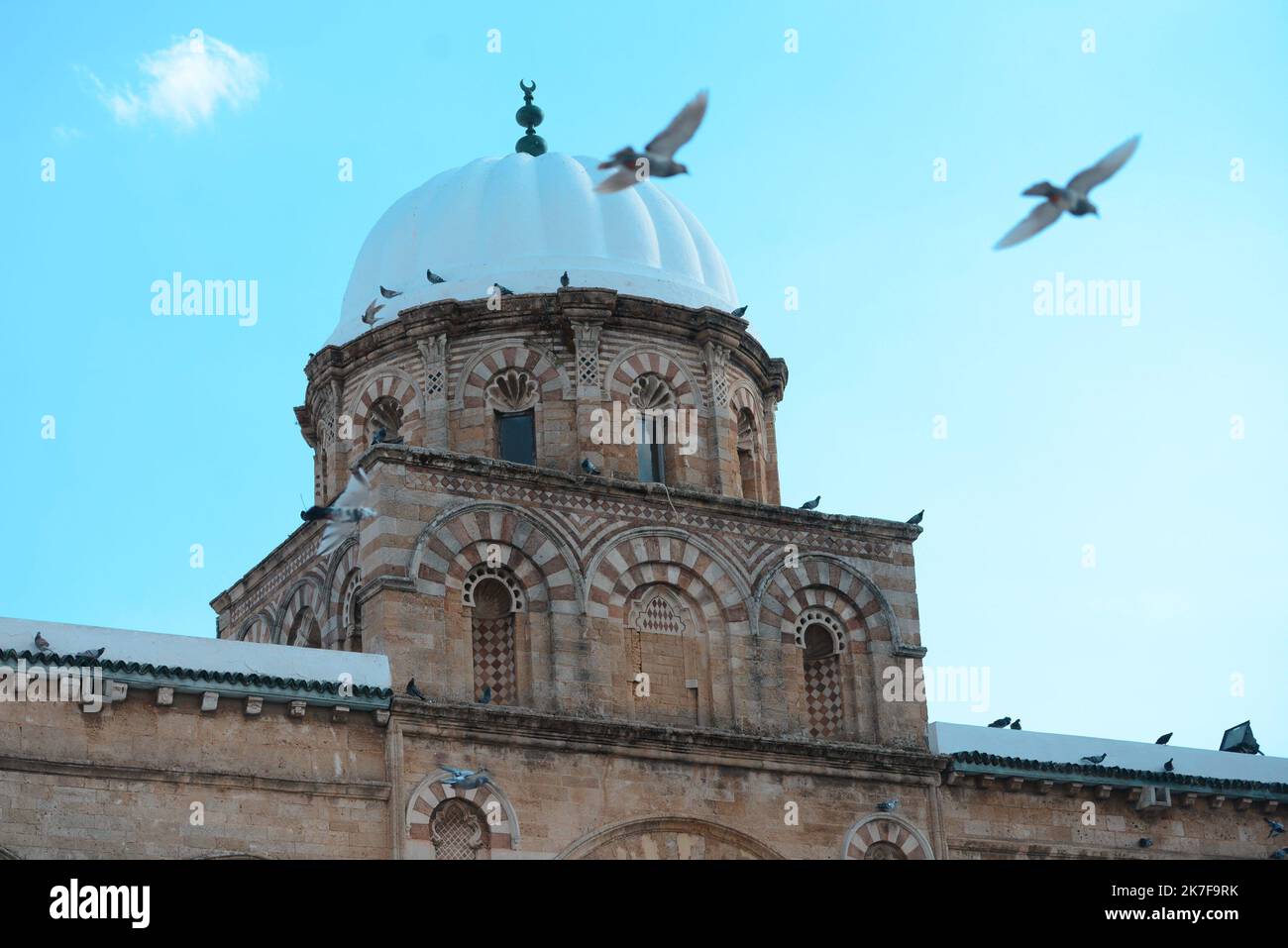 Olive tree mosque hi-res stock photography and images - Alamy