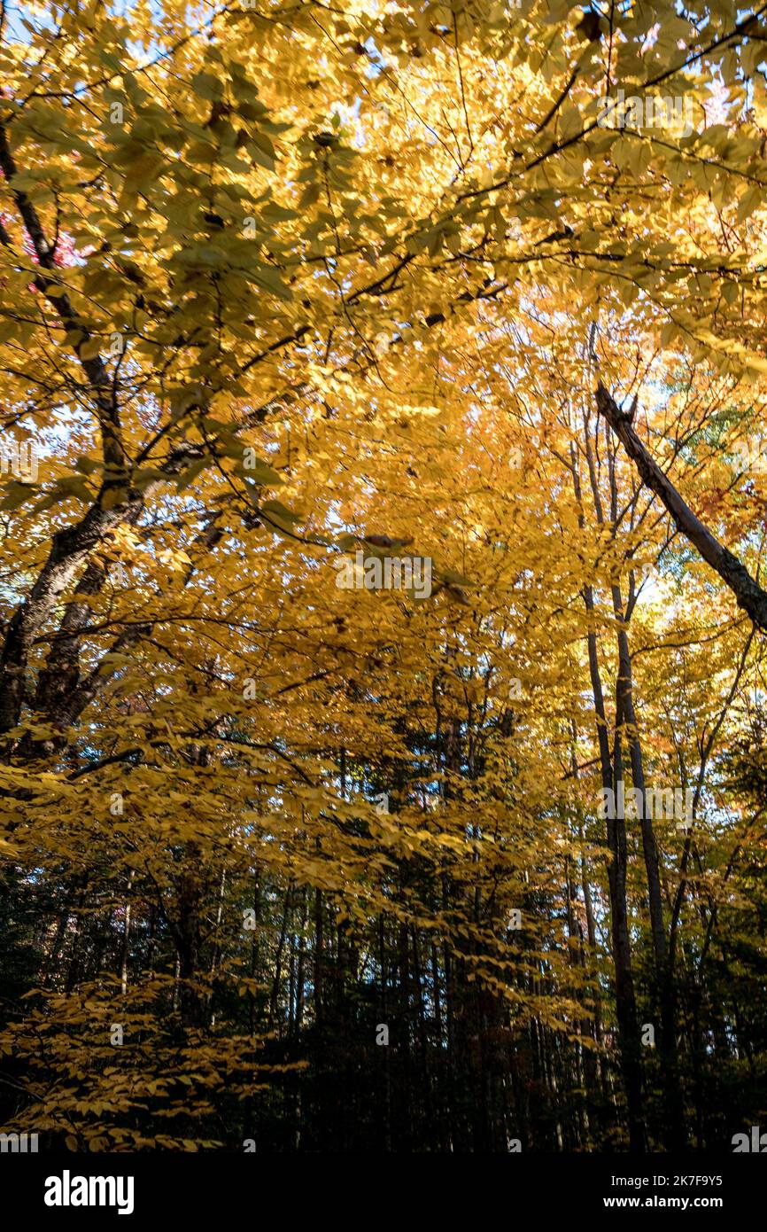 ©Michael Bunel / Le Pictorium/MAXPPP - ete indien au canada. Les ...