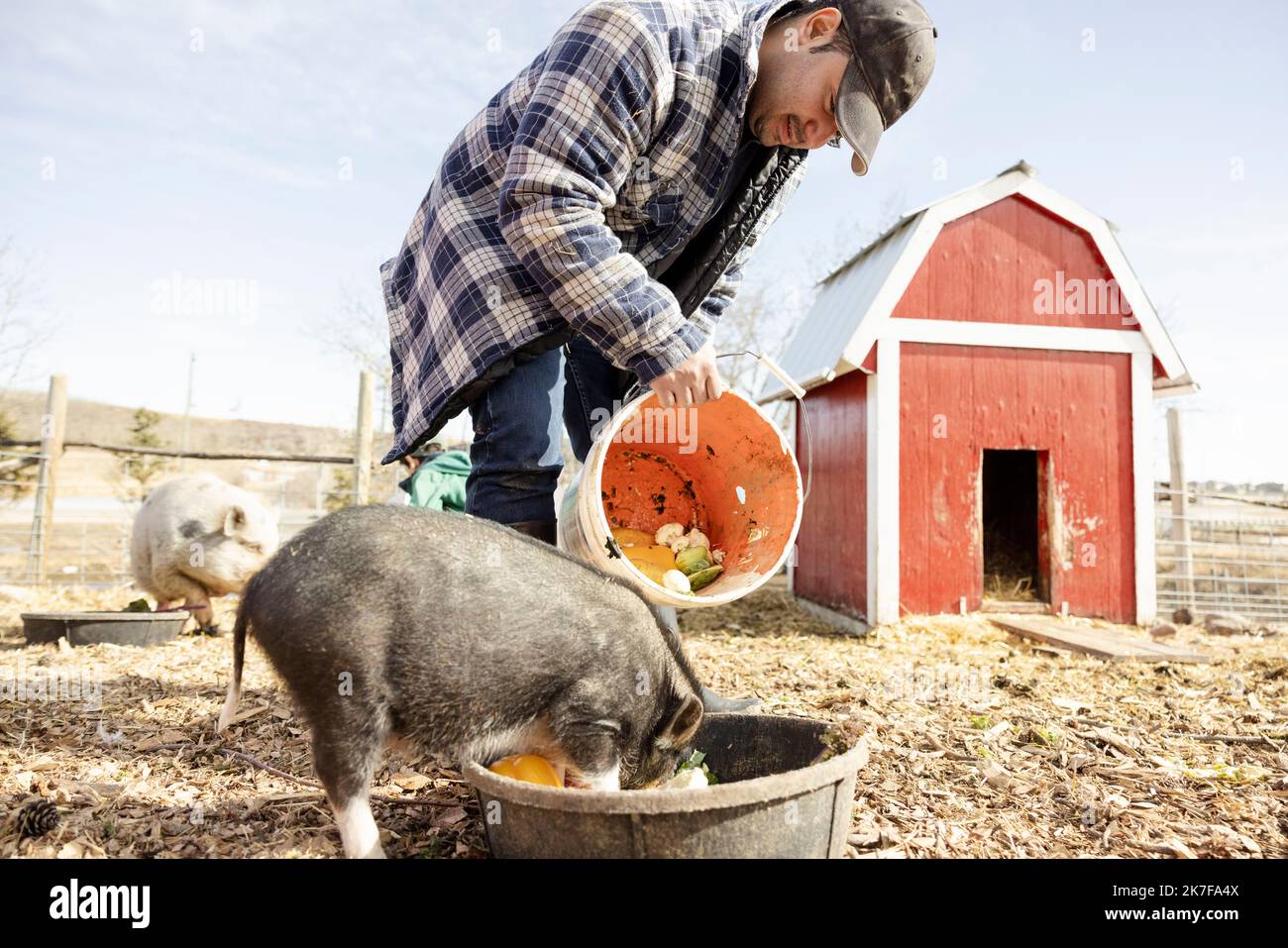Bending farmer hi-res stock photography and images - Alamy