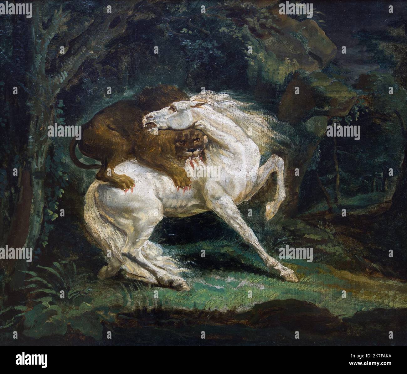 ©Active Museu/MAXPPP - ActiveMuseum 0003349.jpg / Cheval attaque par un ...