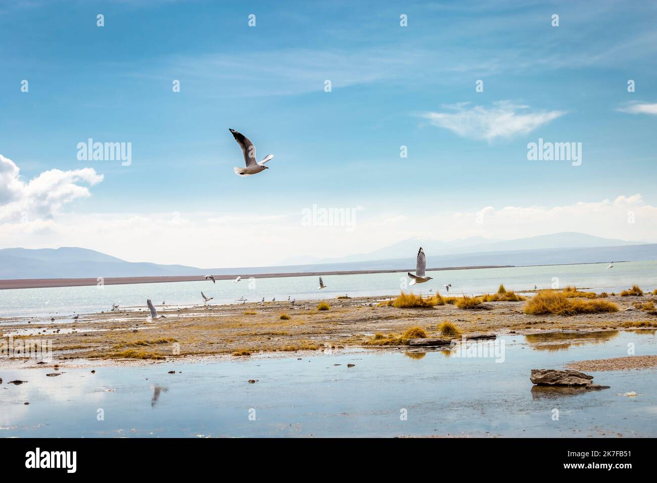 Salar de Atacama volcanic landscape and salt lake in Atacama Desert ...