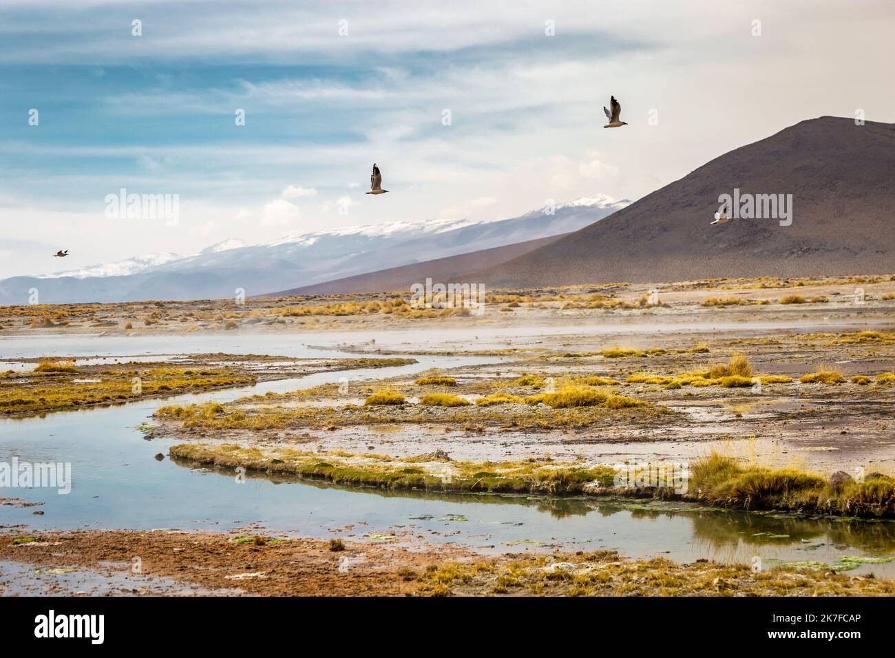 Salar de Atacama volcanic landscape and salt lake in Atacama Desert ...
