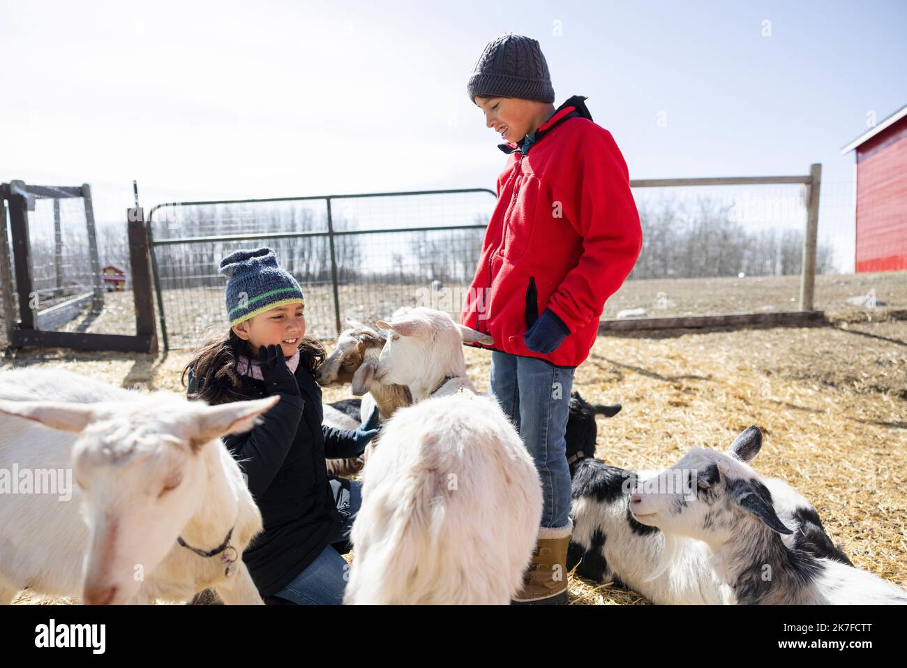 Brother and sister working on farm hi-res stock photography and images ...