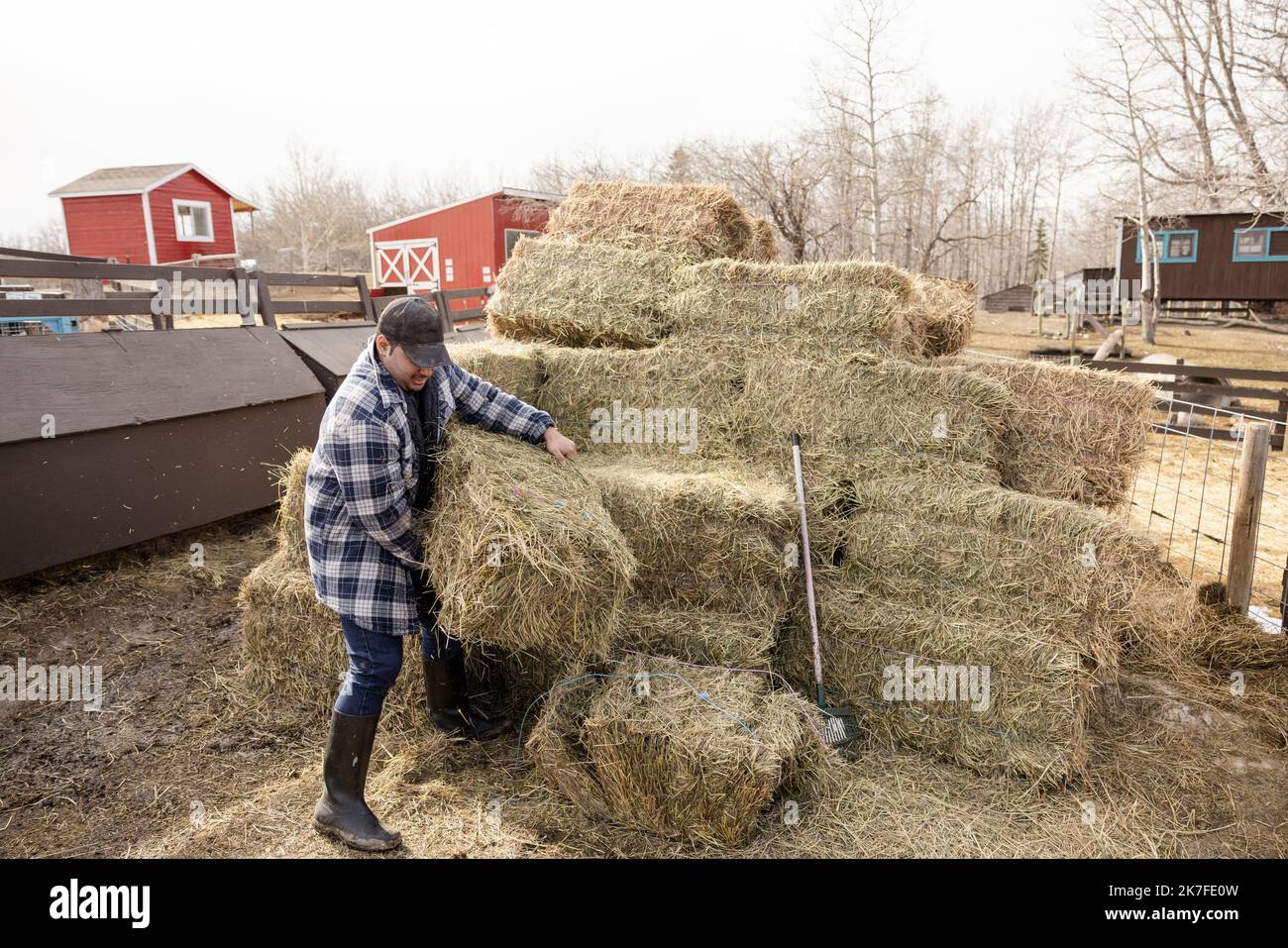 Stacking bales hi-res stock photography and images - Alamy