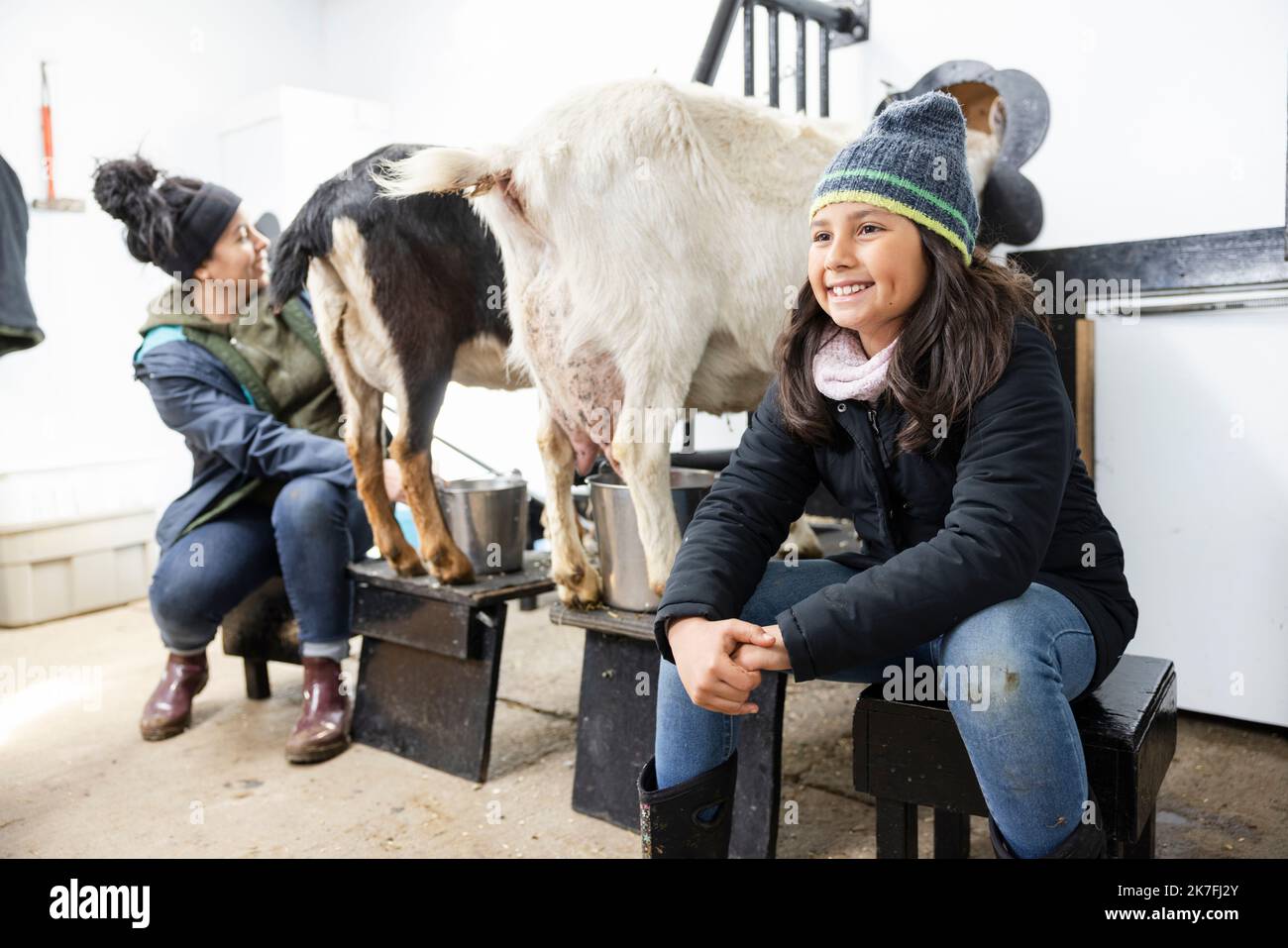 Women milking goats hi-res stock photography and images - Alamy