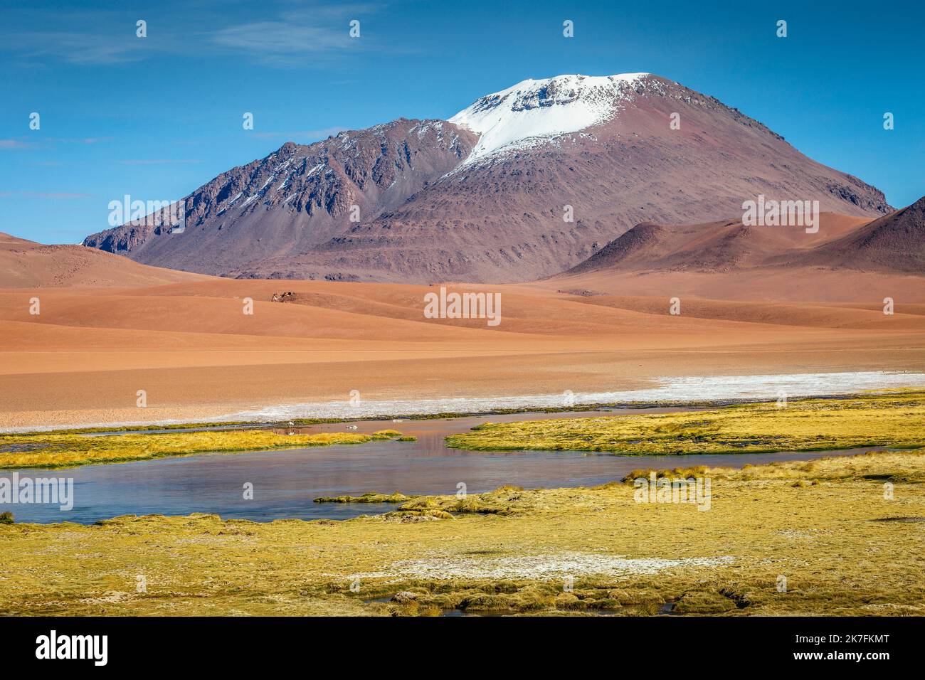 Salar de Atacama volcanic landscape and salt lake in Atacama Desert ...