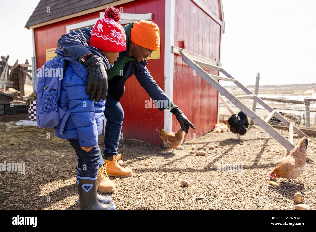 Father chicken hi-res stock photography and images - Alamy