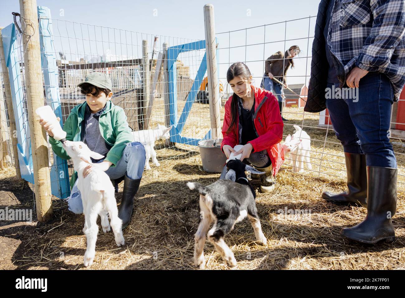 Kid on farm hi-res stock photography and images - Alamy