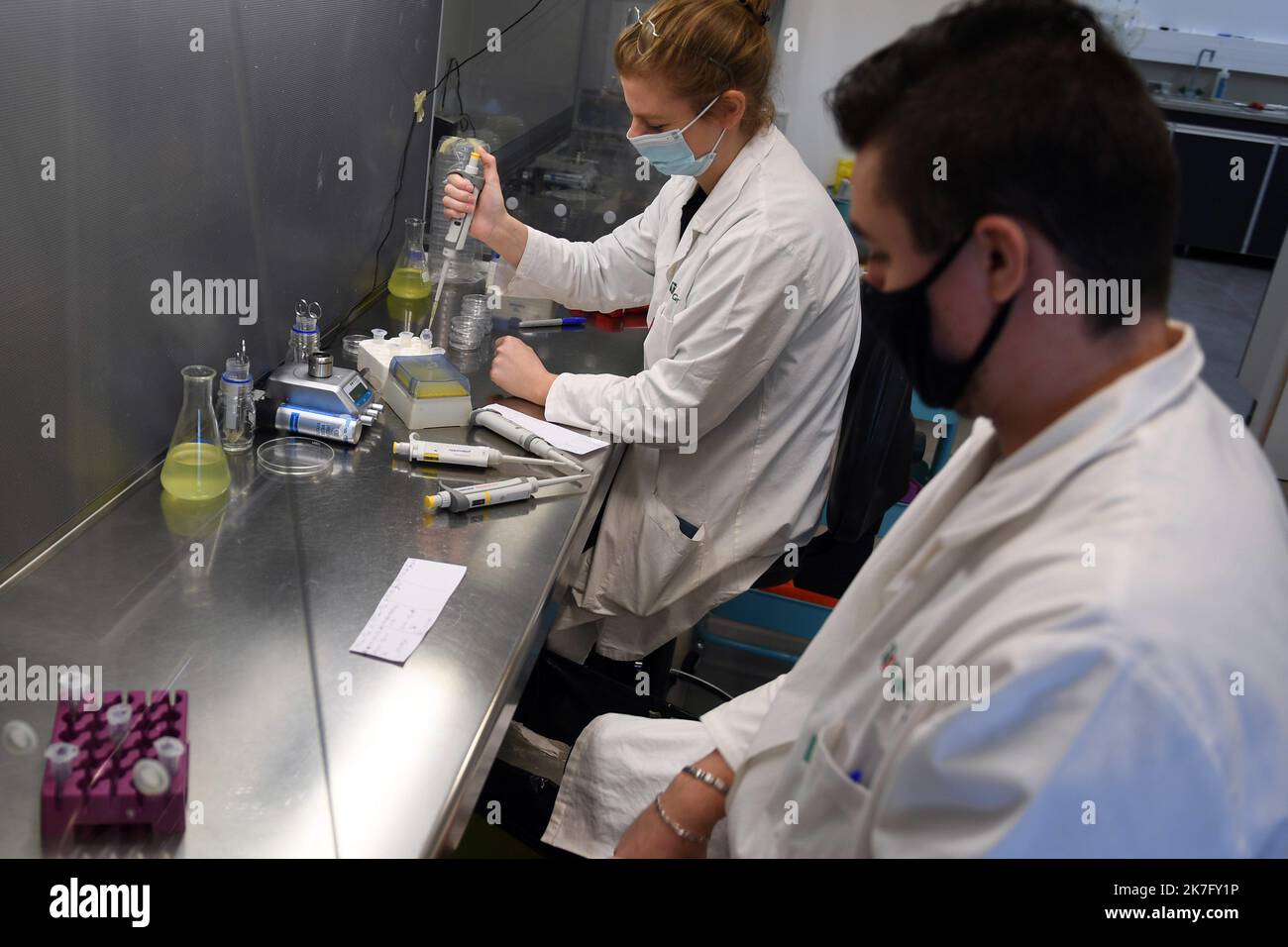 Ragt semences hi-res stock photography and images - Alamy