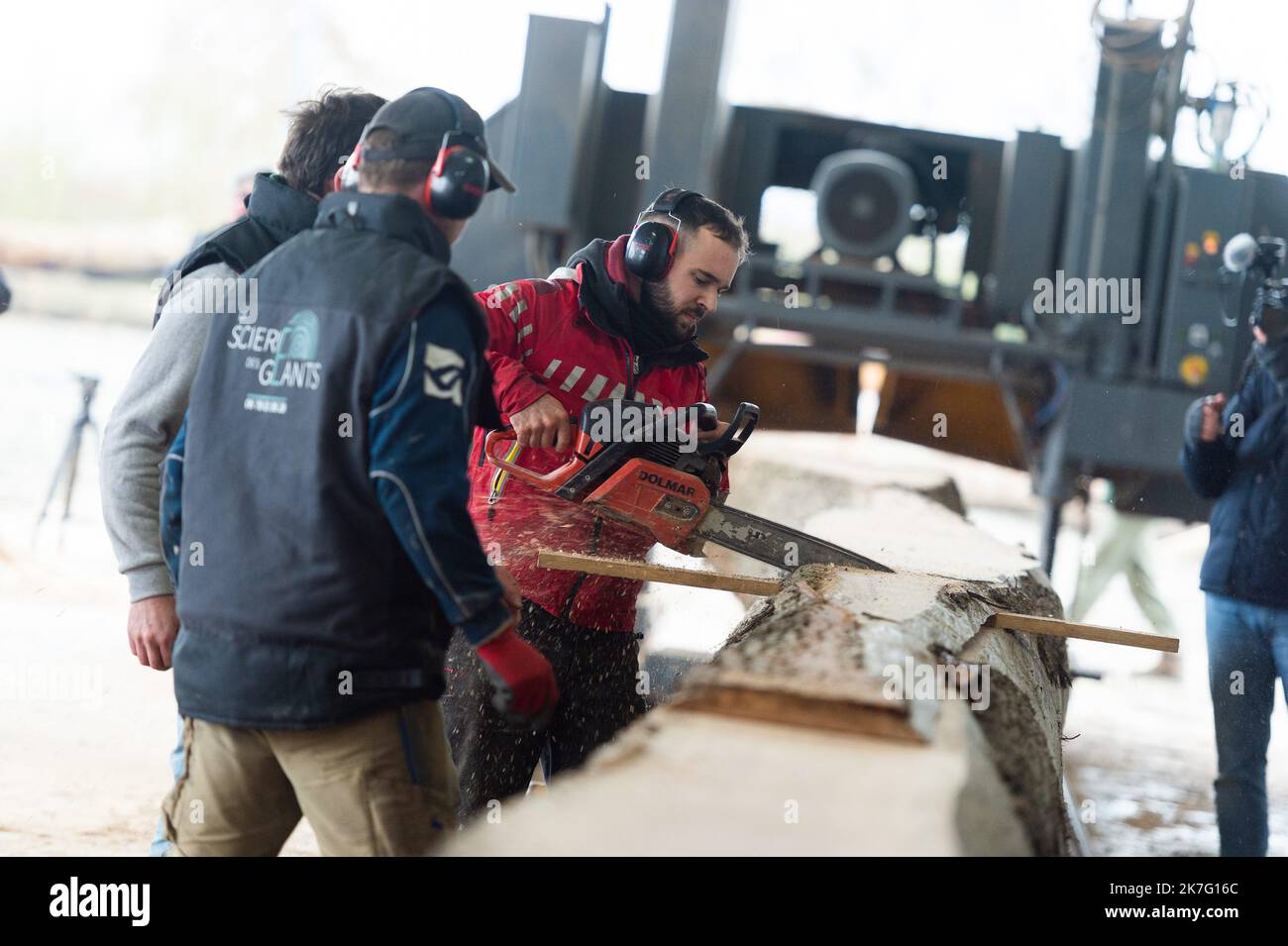 Rennes; 12/16/2021; This Thursday morning at the "sawmill of the giants ...