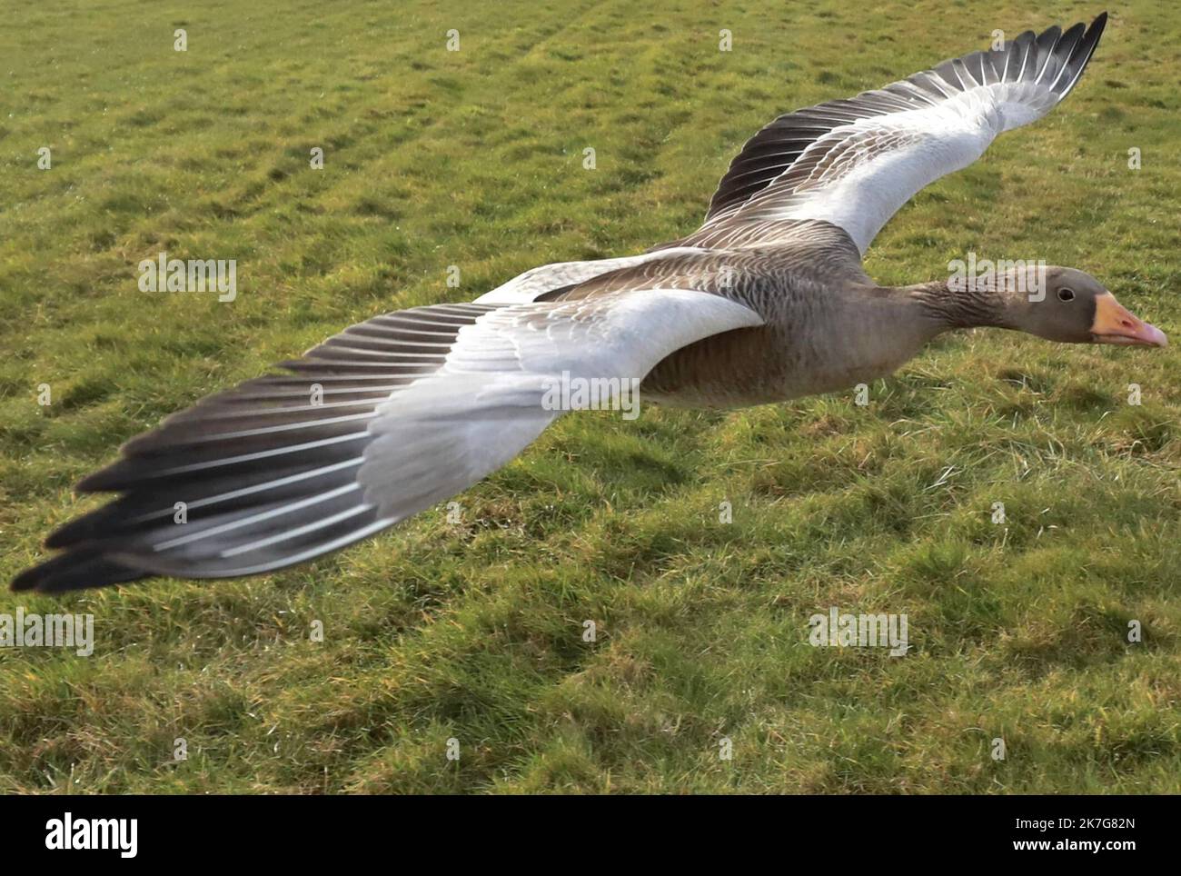 Quad pilote hi-res stock photography and images - Alamy