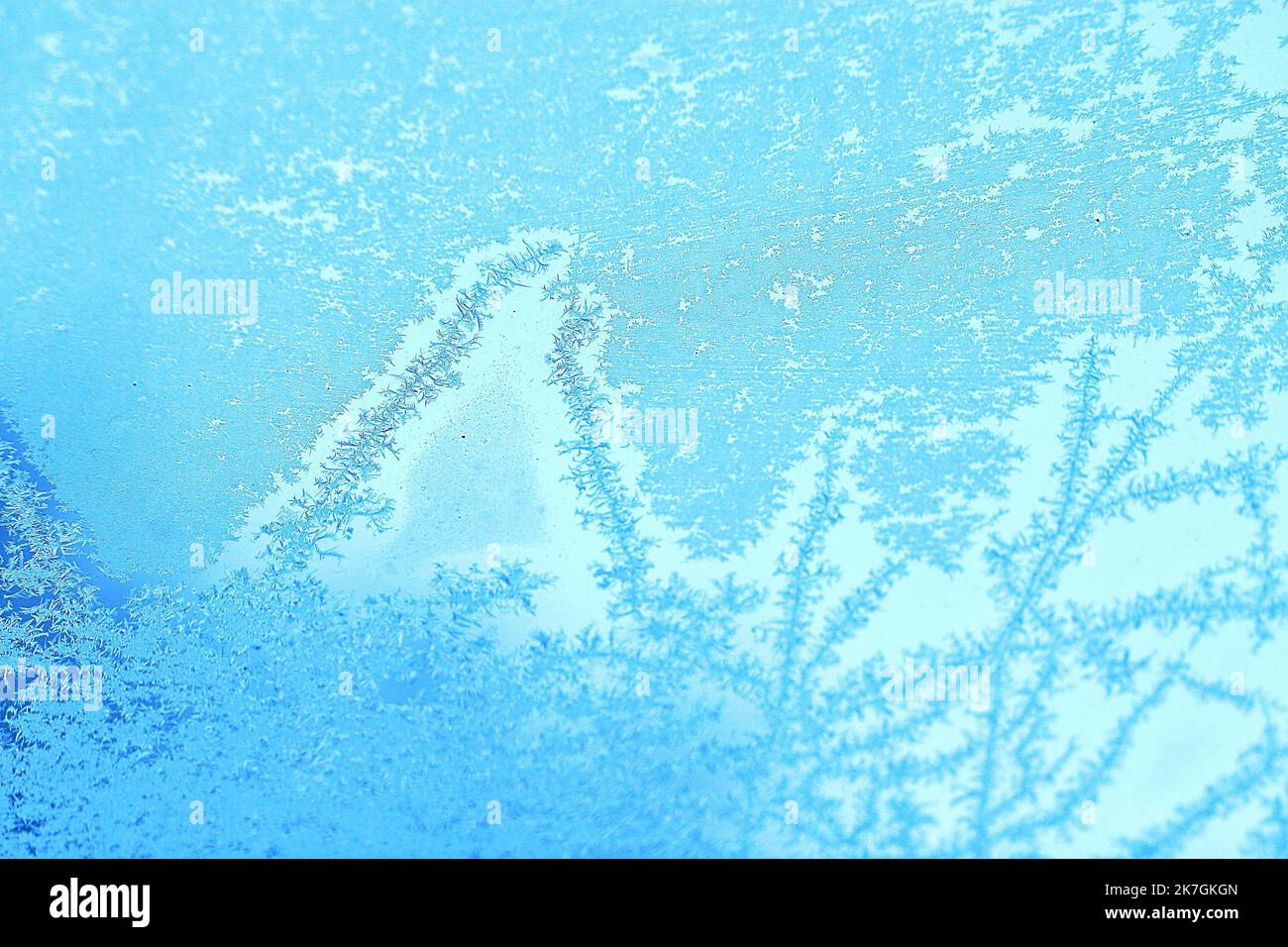 ©PHOTOPQR/LE COURRIER DE L'OUEST/AURELIEN BREAU ; ; ; MAINE ET LOIRE LE ...